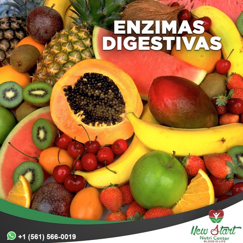 Enzimas Digestivas - New Start Nutri Center